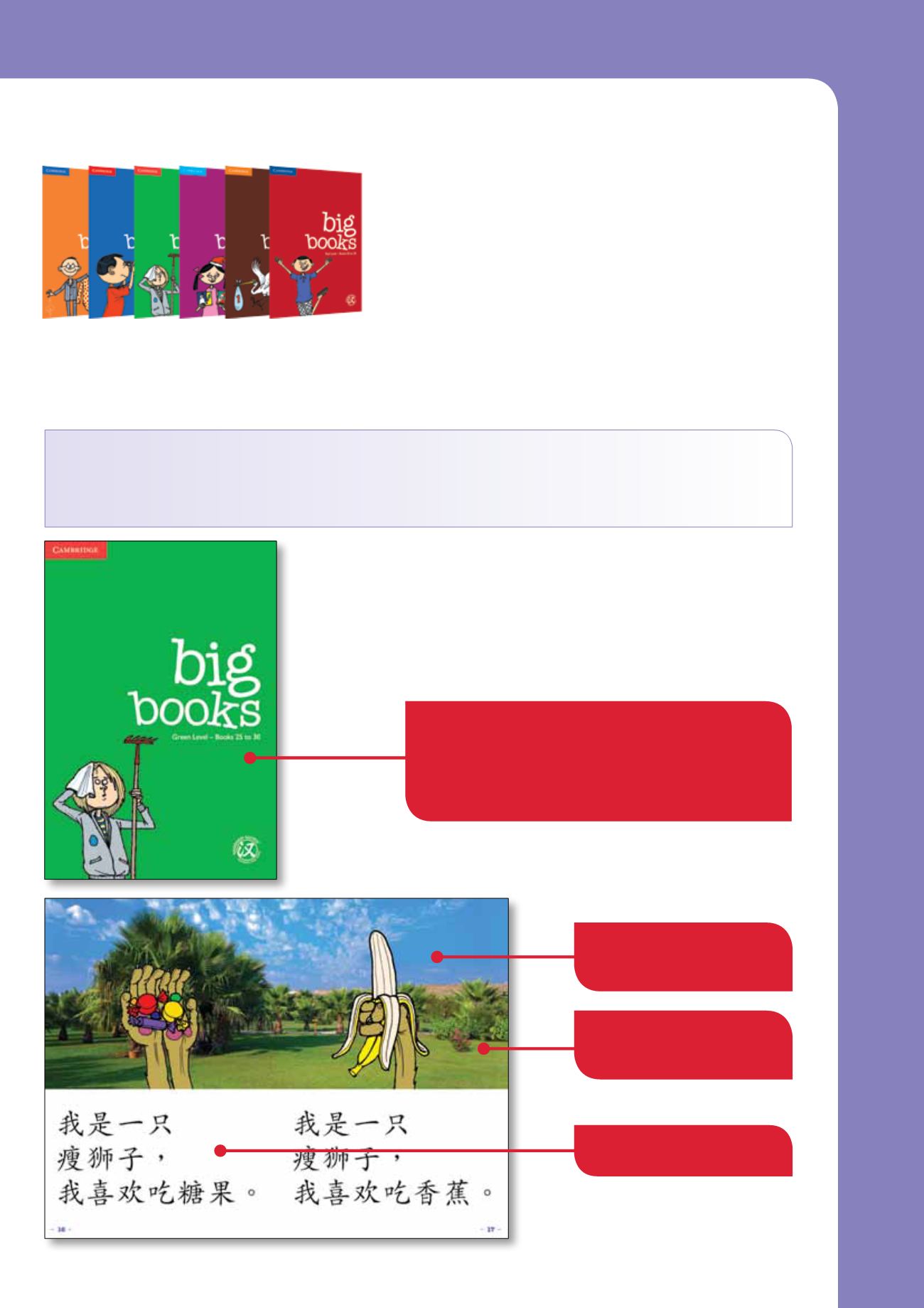 Mandarin Matrix Brochure