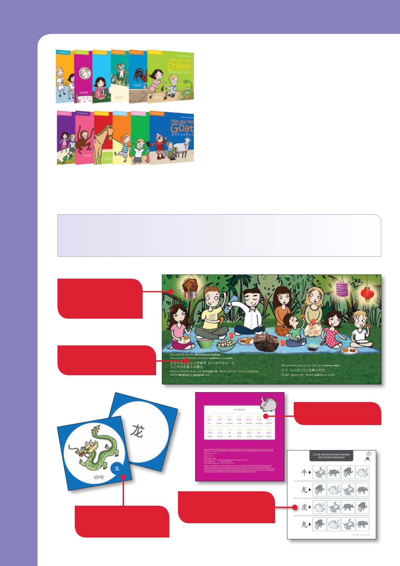 Mandarin Matrix Brochure